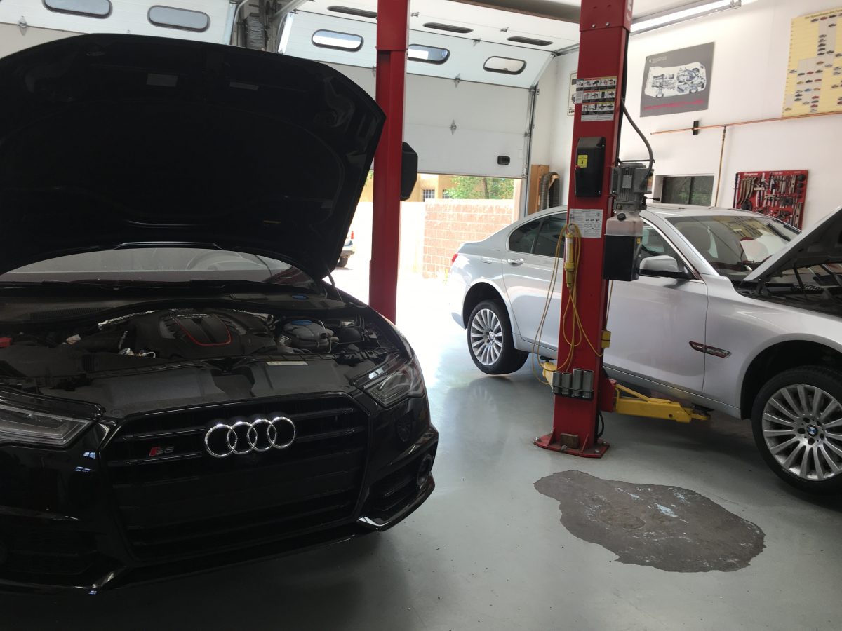 About – Rex Goes Racing